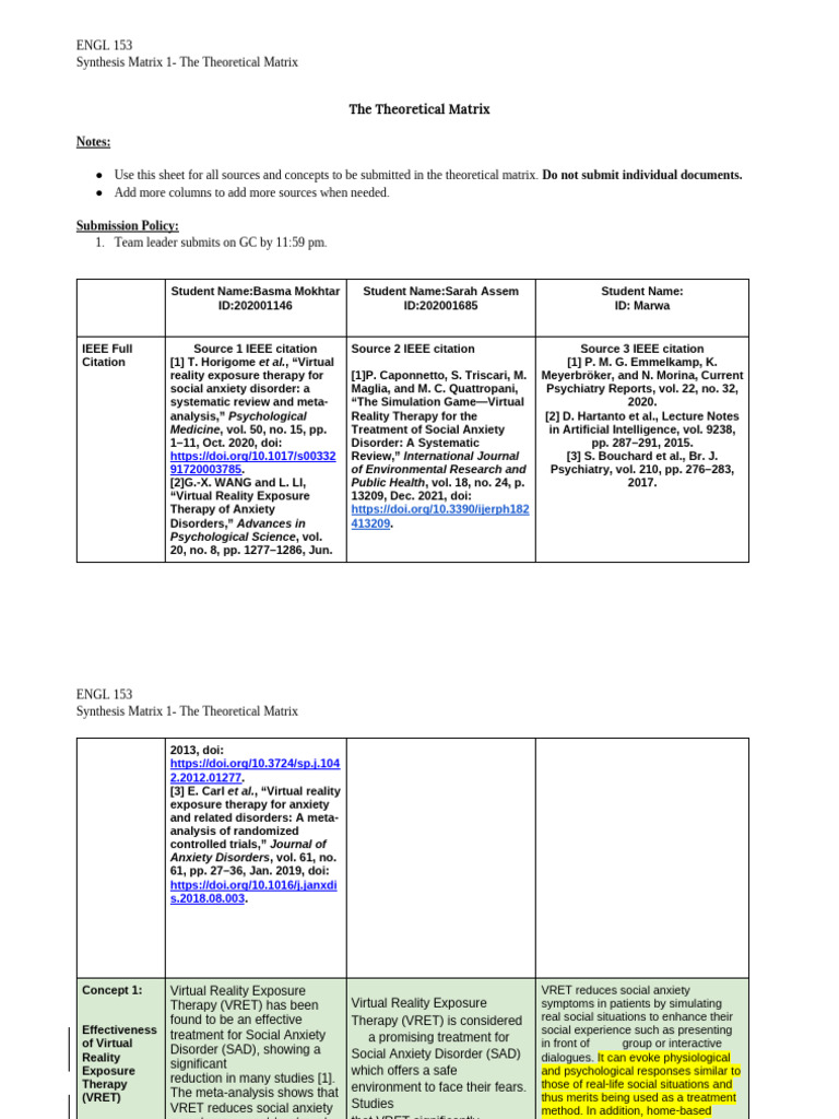 Team 6 - 153 Updated The Theoretical Matrix | PDF | Cognitive ...