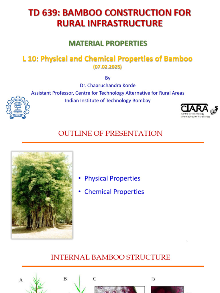 Bamboo Properties for Rural Infrastructure | PDF | Cell Wall | Lignin