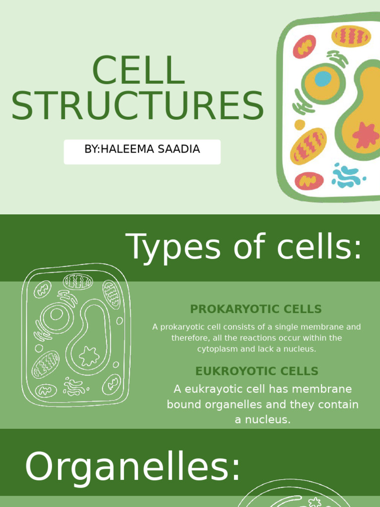 Plant versus Animal Cell Science Presentation | PDF