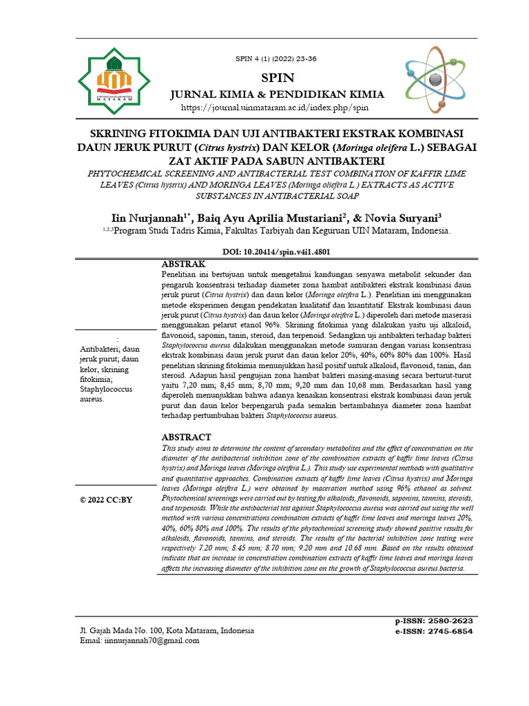 Nurjannah - SPIN 4 (1) - 20221 | PDF