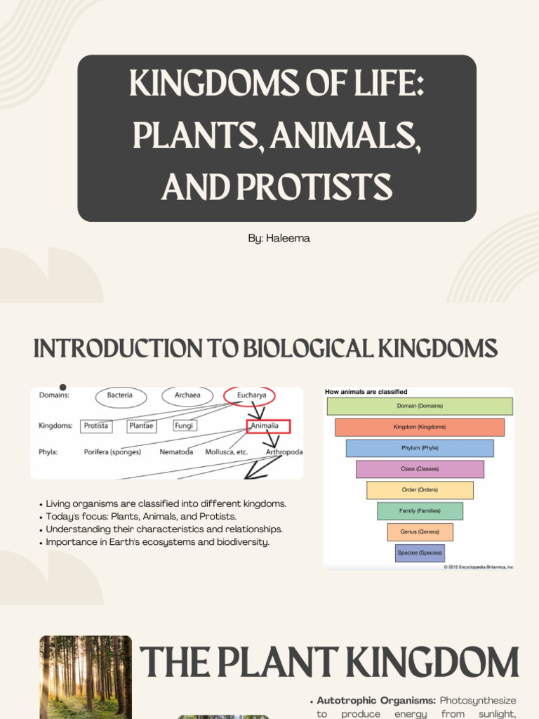 Kingdoms of Life Plants, Animals, and Protists PPT | PDF | Plants | Algae