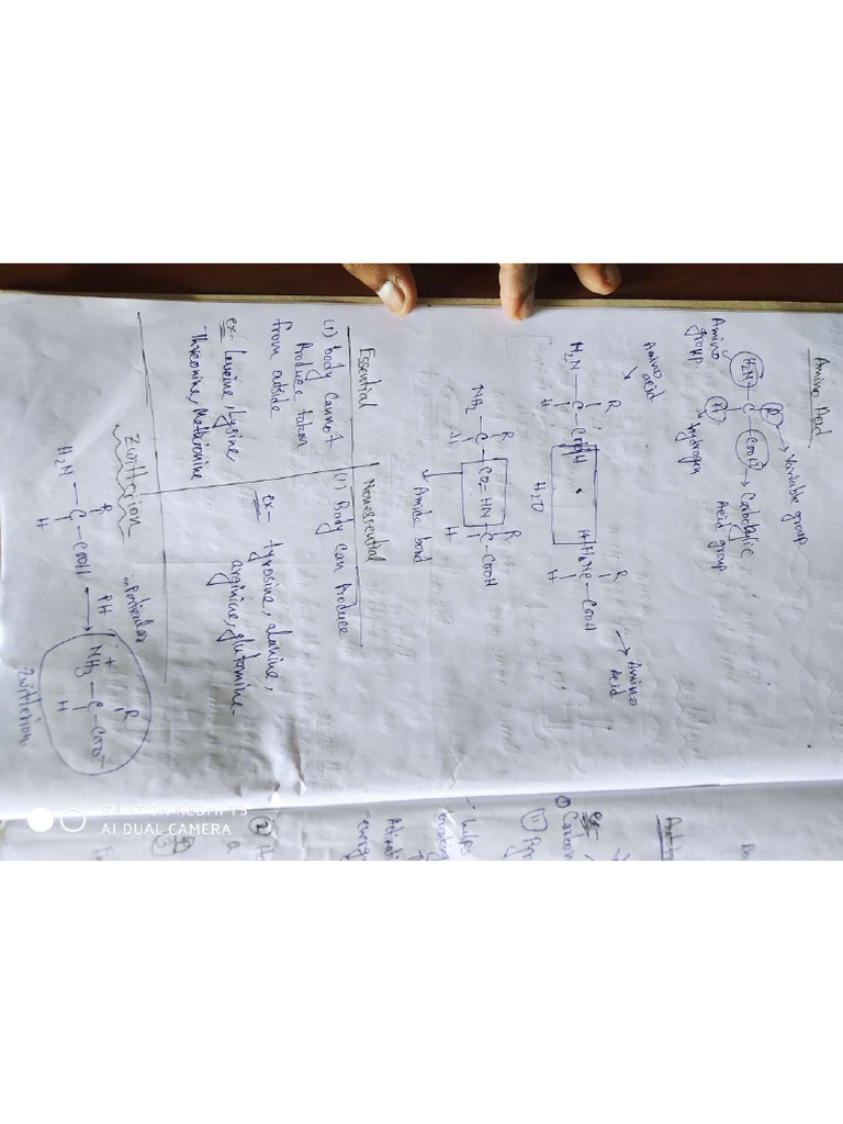 Img 20250319 114813 | PDF