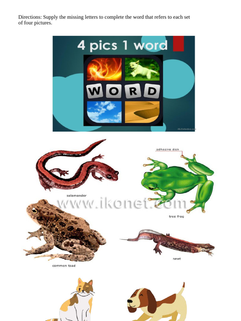 SPECIES | PDF
