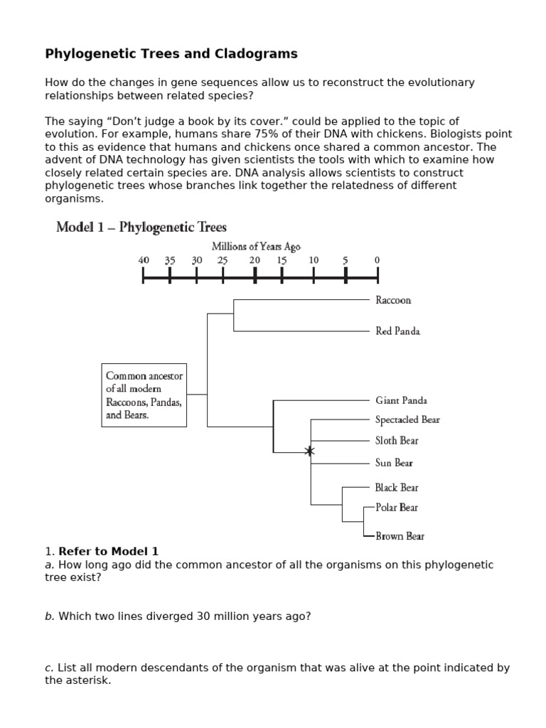 Phylogenetic Trees and Cladogram Practice | PDF | Phylogenetics ...