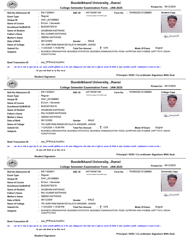 Bundelkhand University Exam Form JAN-2025 | PDF | Vocational Education | Educational Stages