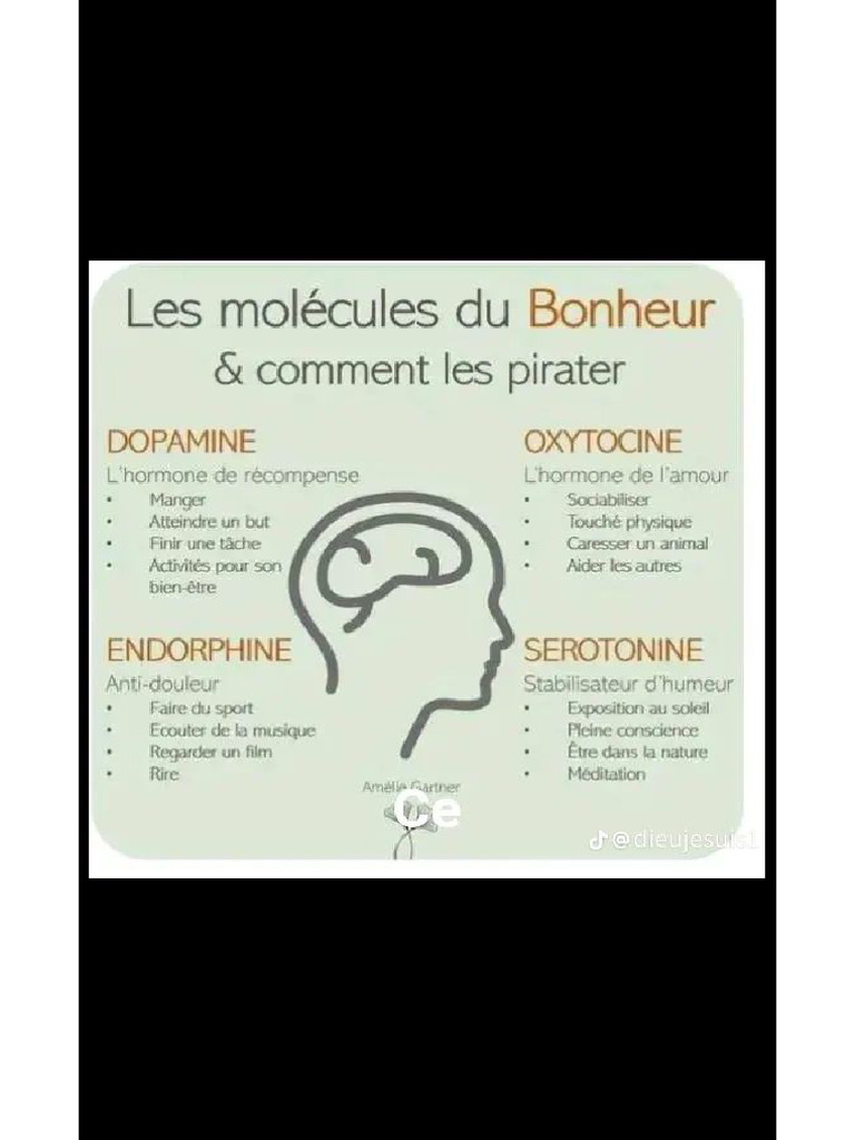 Image_PDF_20250324_1430 | PDF