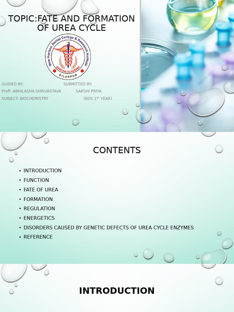 Urea Cycle: Formation and Function | PDF | Metabolism | Cell Biology