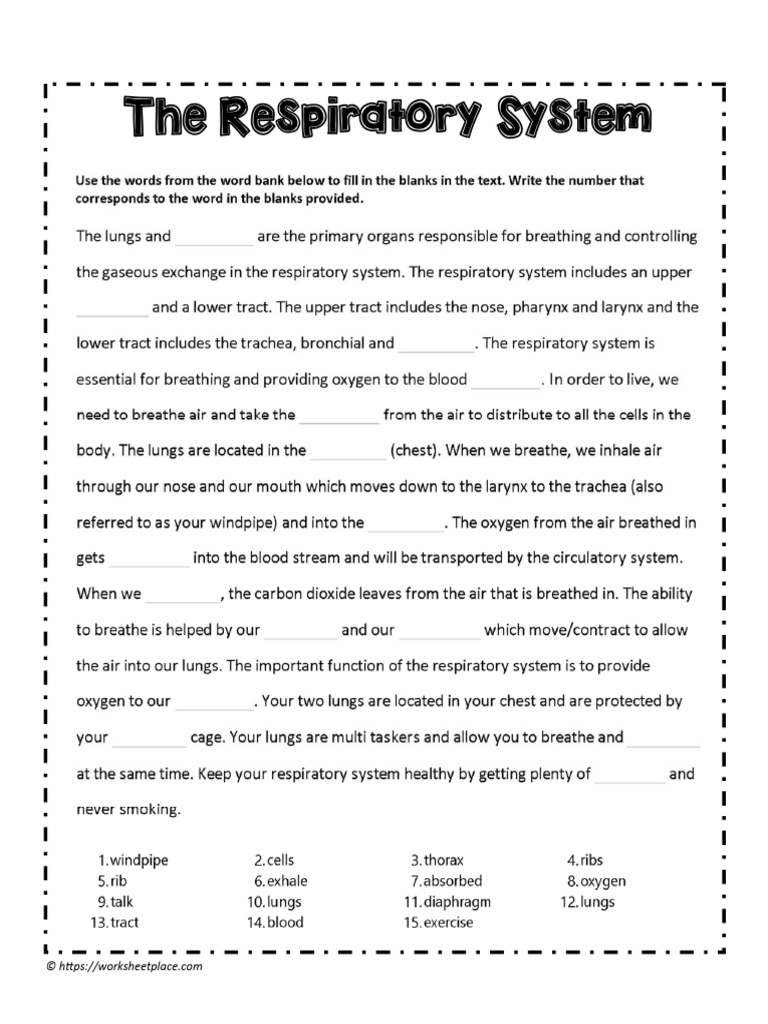 Respiratory System Cloze Passage | PDF