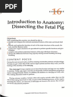 PiG Anatomy | PDF