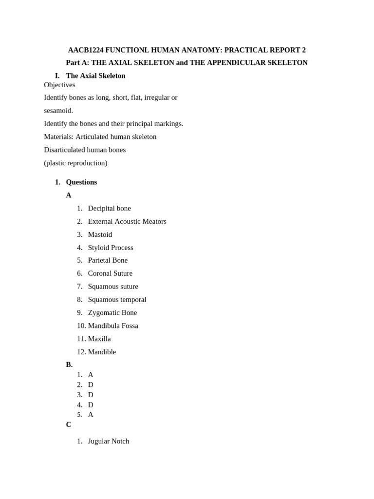 Functional Human Anatomy | PDF | Shoulder | Human Nose