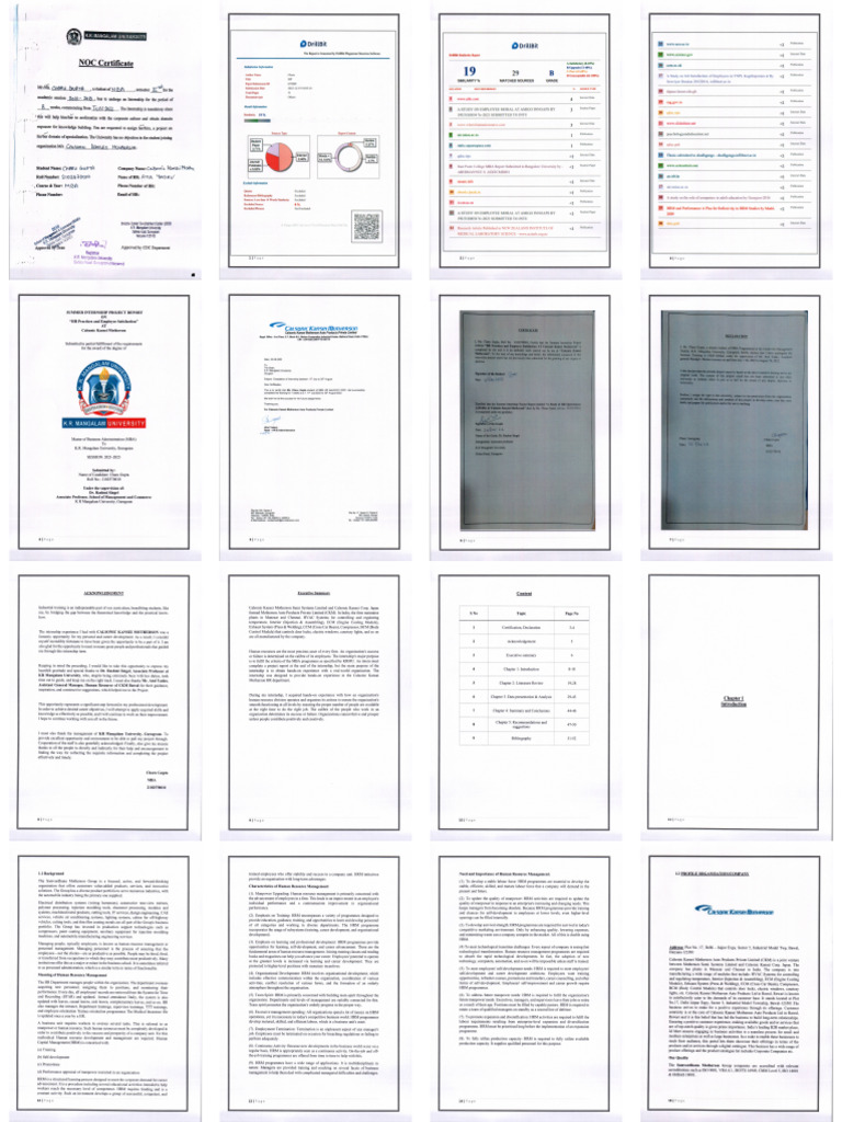 Summer Internship Project Pdf