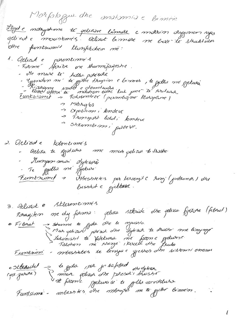 Bimet | PDF