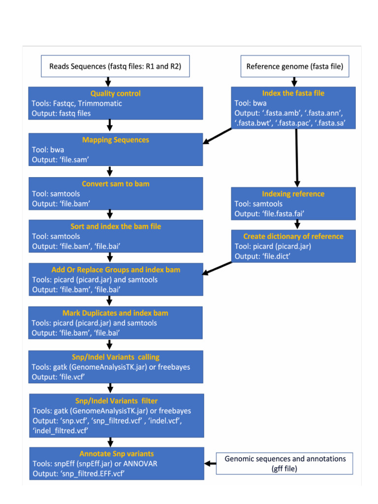NGS_Workflow_WGS | PDF