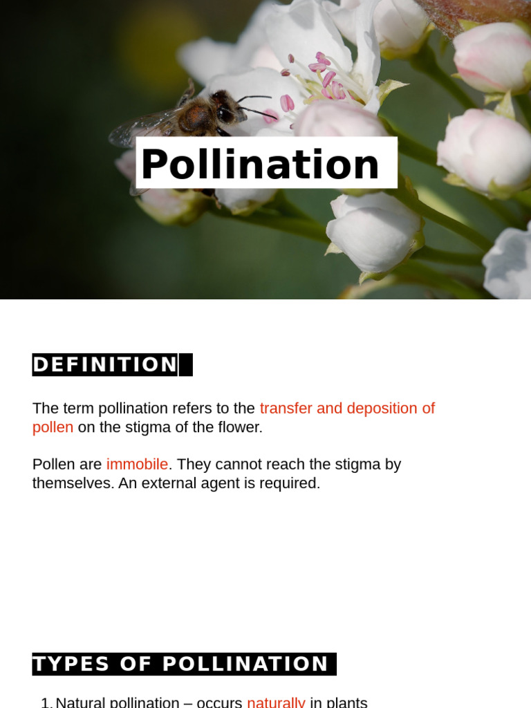 Pollination | PDF