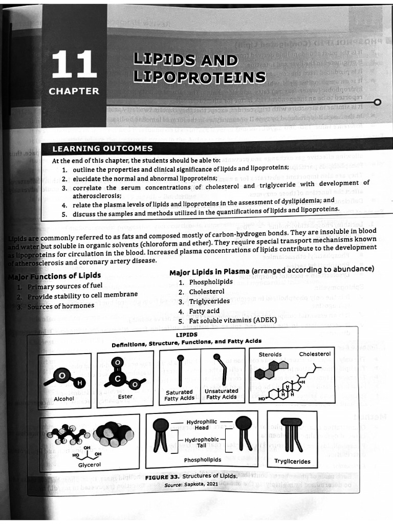 Lipids | PDF