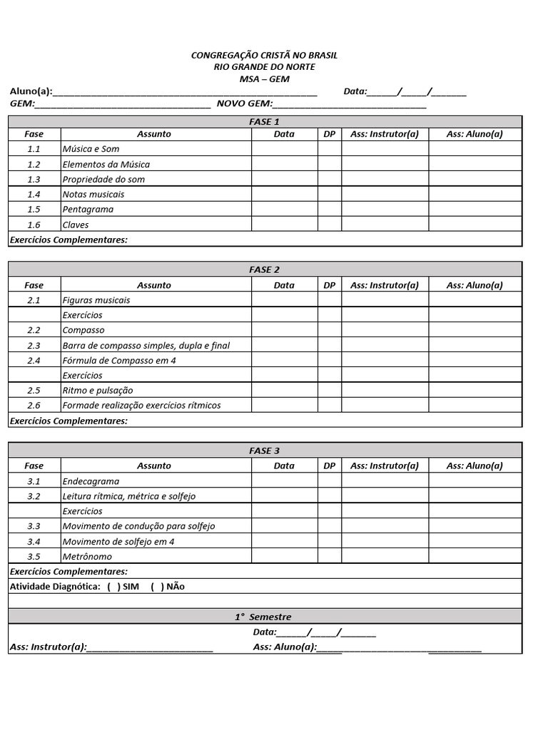 Ficha de Acompanhemento Do Msa - 1º Semestre - Versão 2024 | PDF