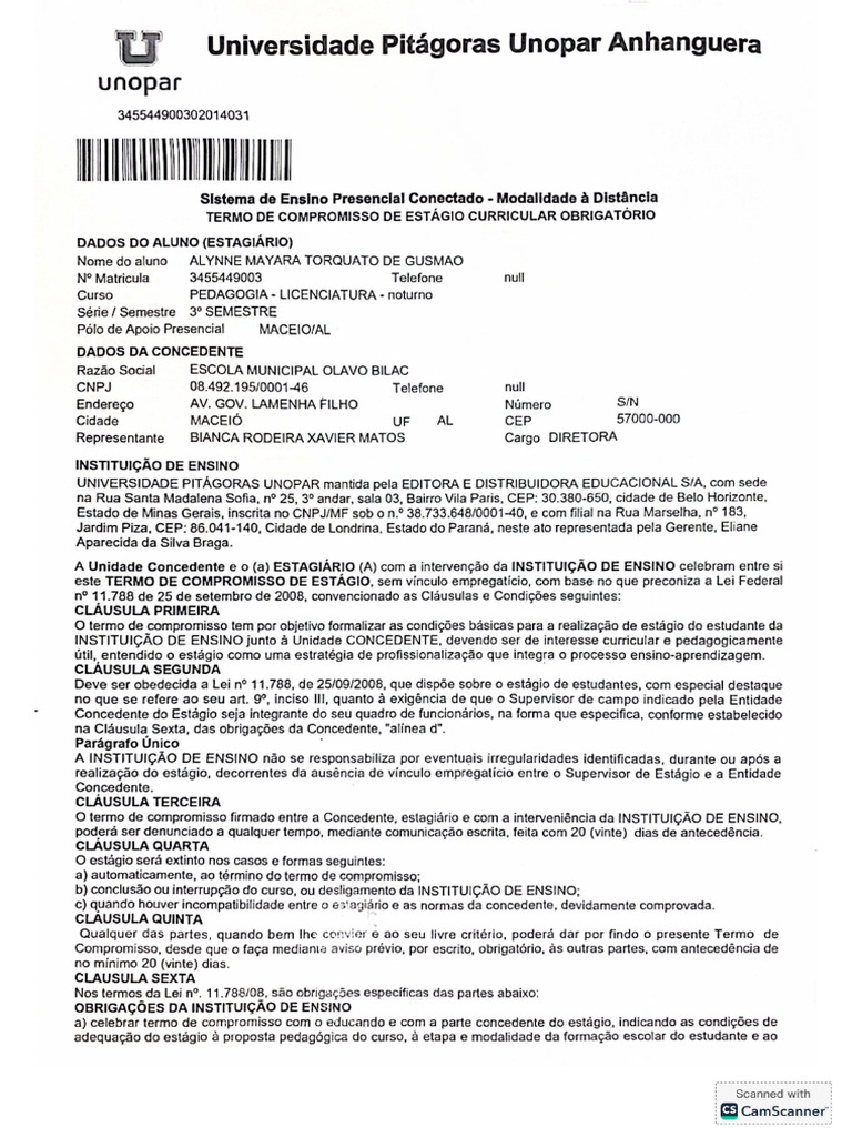 Documento Estagio | PDF