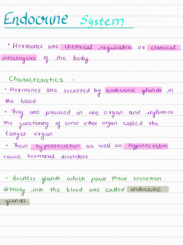 BIOLOGY Endocrine System Notes | PDF