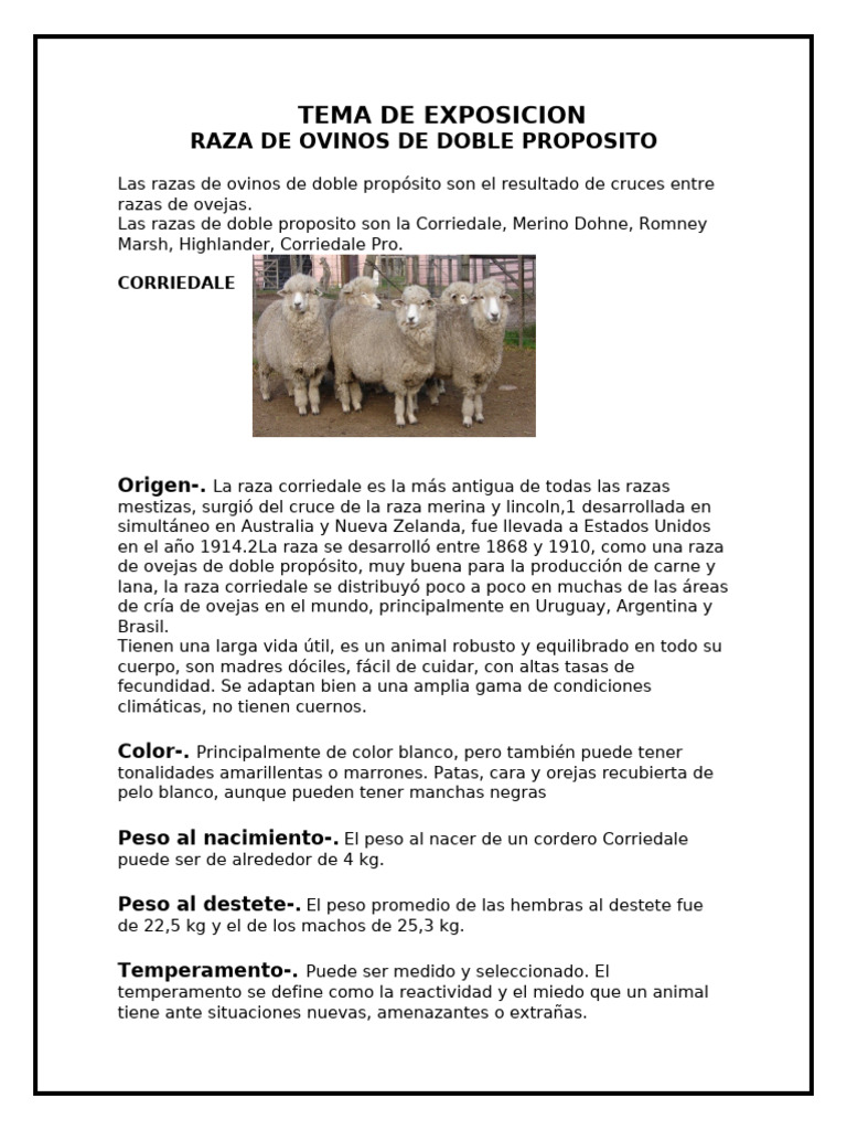 Las Razas de Ovinos de Doble Propósito Son El Resultado de Cruces Entre Razas de Ovejas | PDF ...