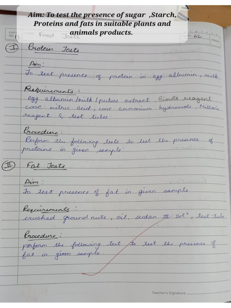 Experiment No. 4 | PDF