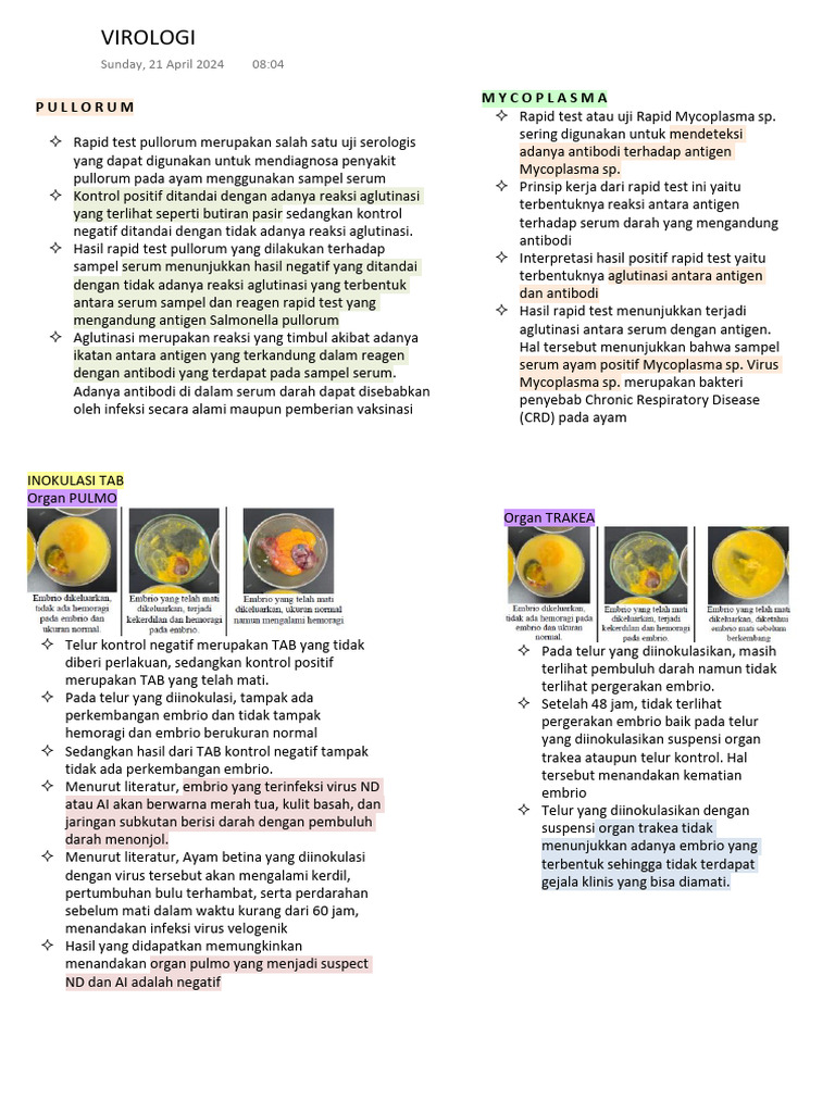 Uji Rapid Pullorum dan Mycoplasma pada Ayam | PDF