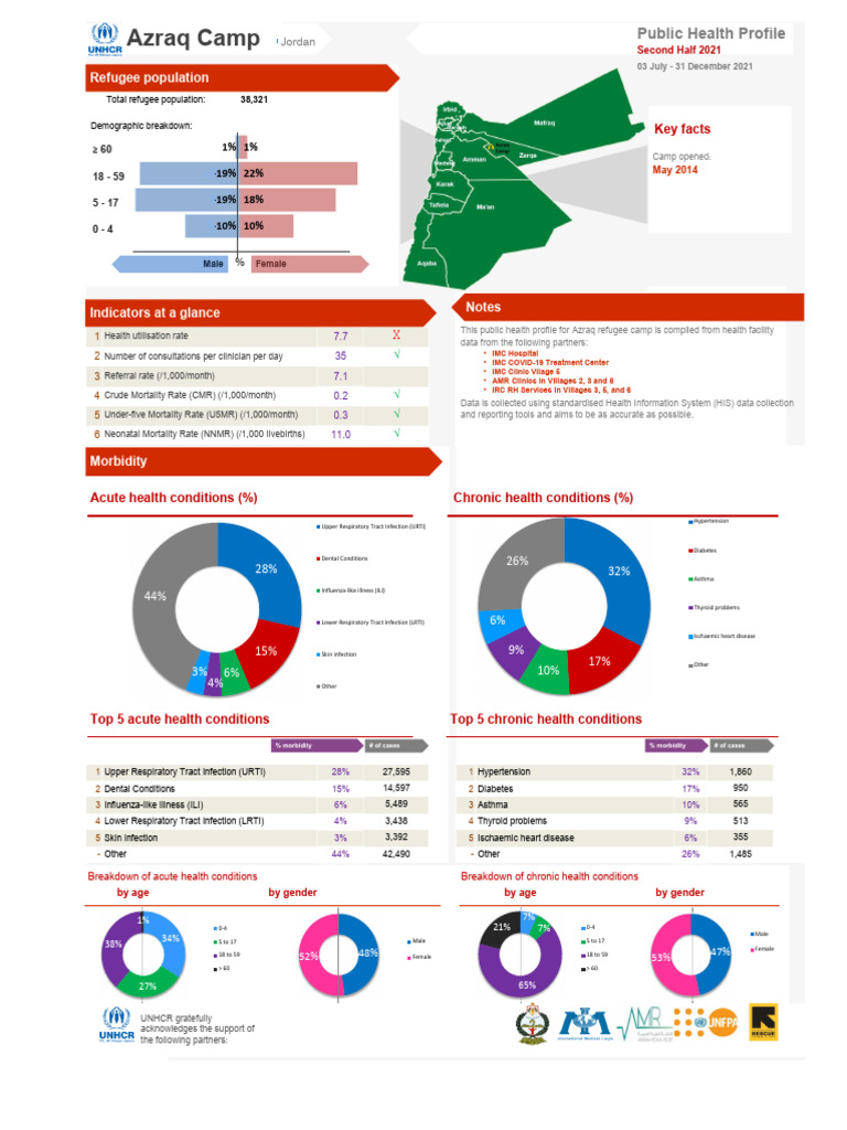8 - Azraq Health Information System - Profile Report Second Half 2021 | PDF | Chronic Condition ...