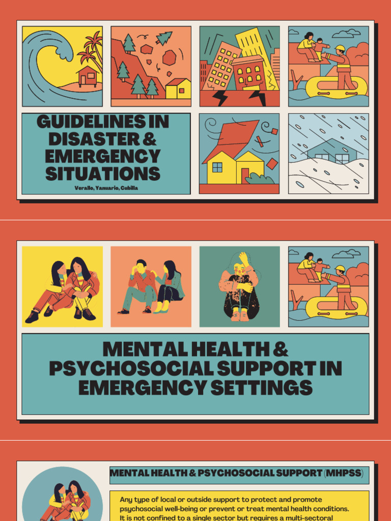Guidelines in disaster & emergency situations report | PDF