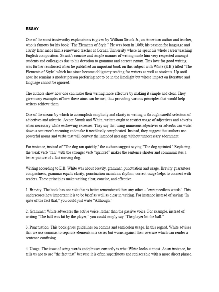 The Elements of Style Essay | PDF | Adverb | Comma