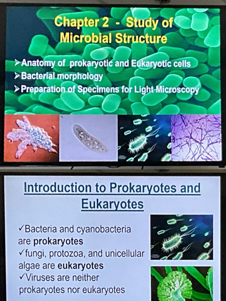 Chapter 2 - Study of Microbial Structure, Basic Apparatus and Equipment ...