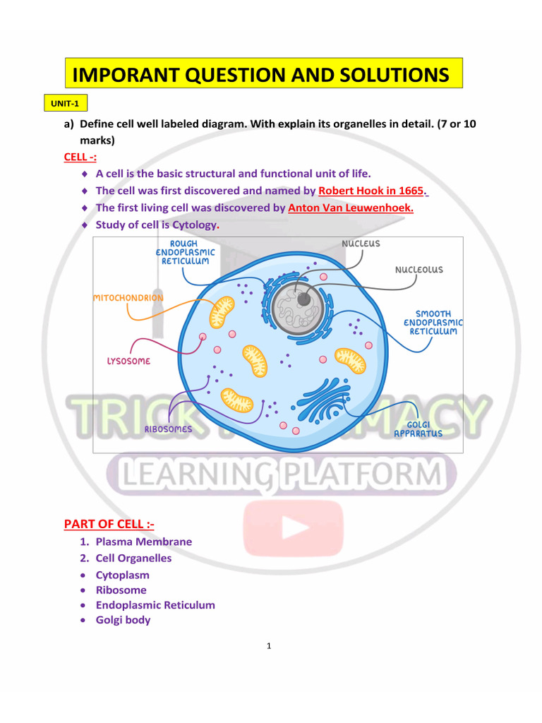 HAP Unit 1 To 5 Imp. Questions & Solution | PDF