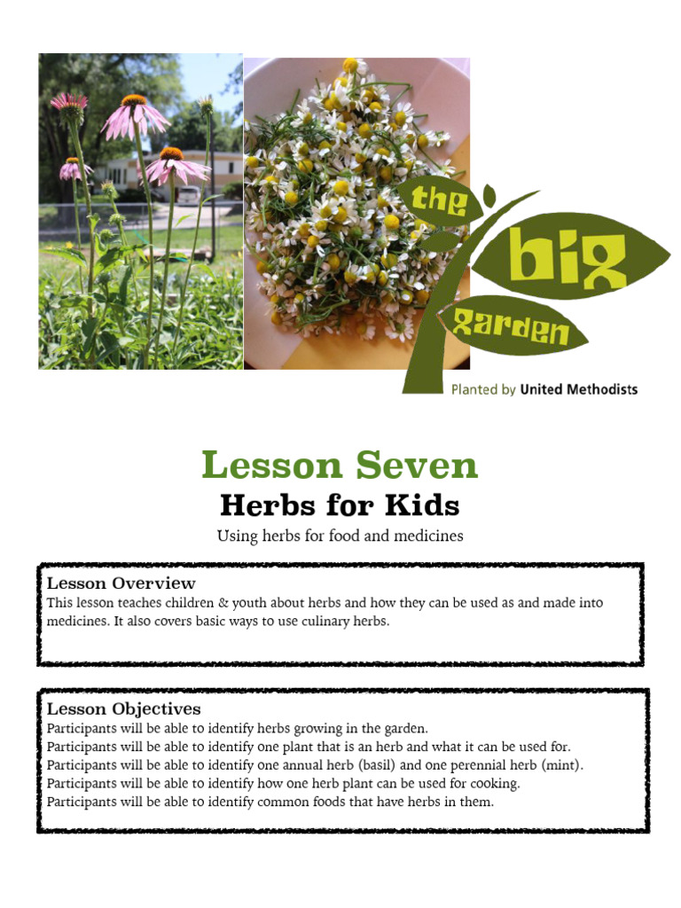 Lesson Seven 2018 - Herbs For Kids SMALL | PDF