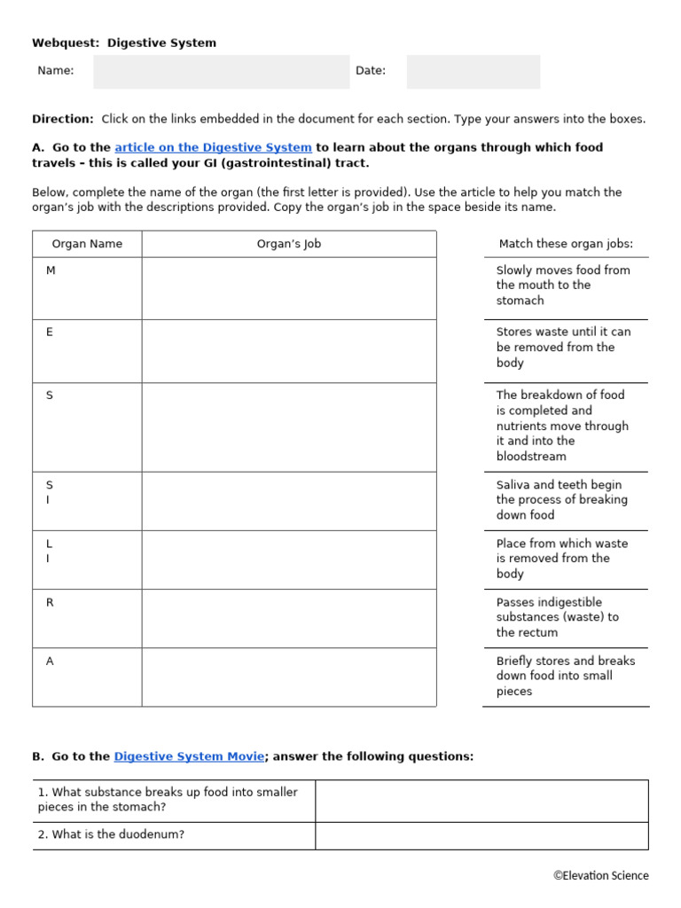 Digestive System Webquest Guide | PDF | Gastrointestinal Tract | Human ...