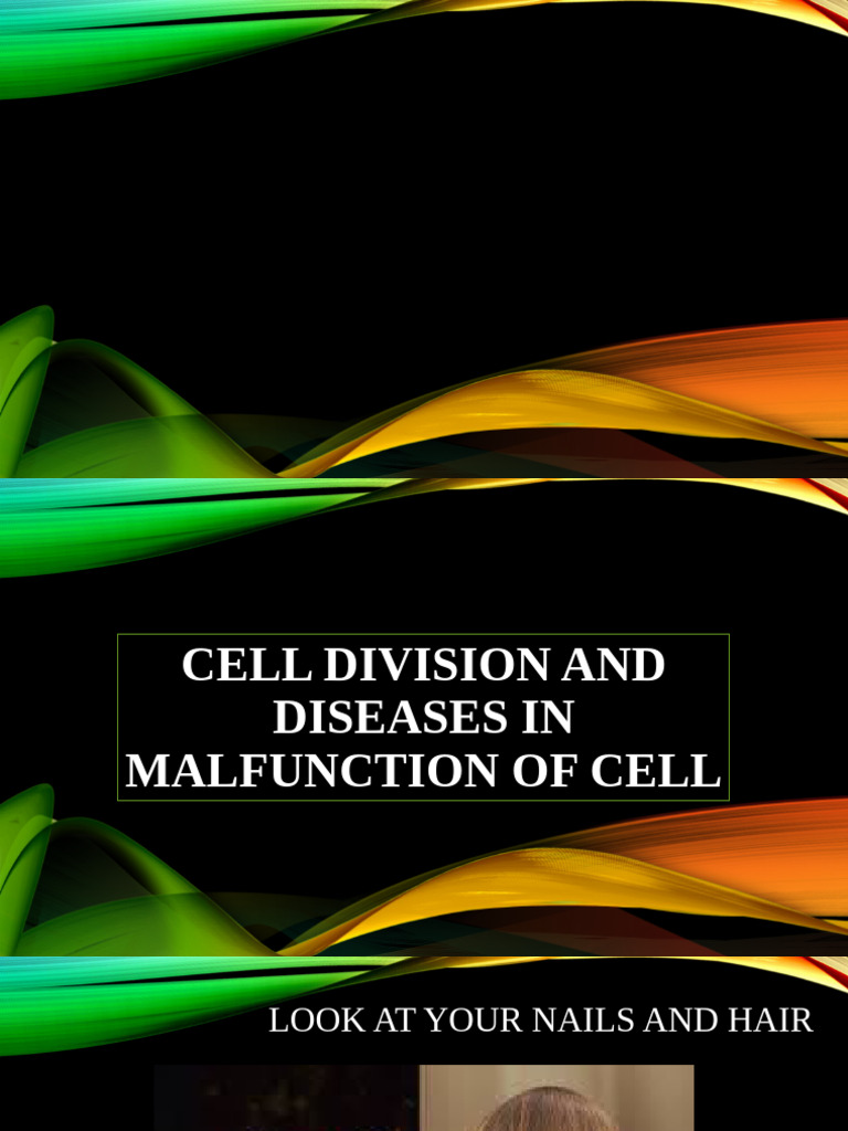 Cell Division and Diseases in Malfunction of Cell | PDF | Mitosis | Meiosis