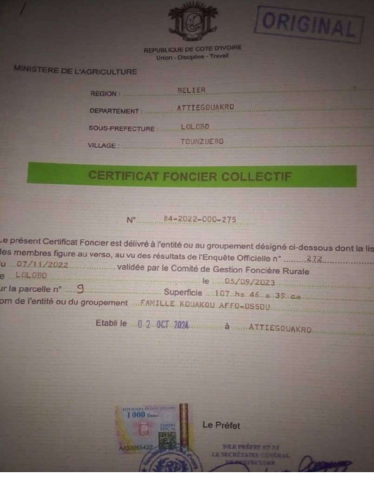 Certificat Foncier Touzouebo (3) | PDF