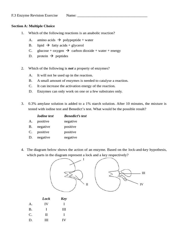 Enzyme Revision Exercise | PDF | Enzyme | Enzyme Inhibitor