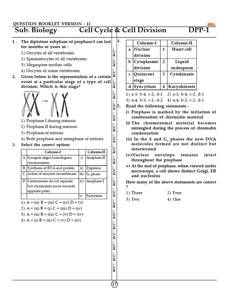 Cell Cycle and Cell Division DPP-1 | PDF | Meiosis | Mitosis