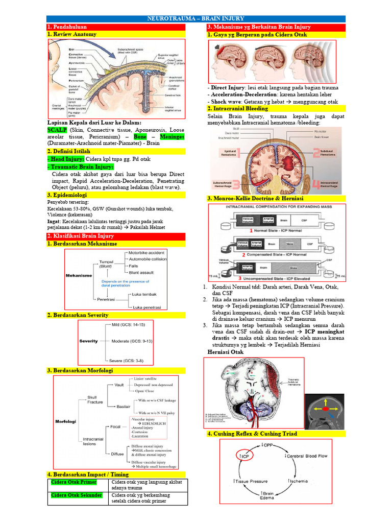 Head Trauma & Brain Injury-1 (1) Open Acces | PDF