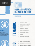 Manual BPM Minsa Digemid | PDF | Calibración | Calidad (comercial)