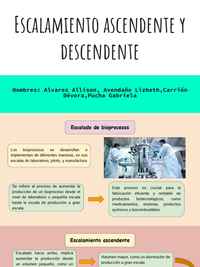 Escalamiento Ascendente y Descendente | PDF