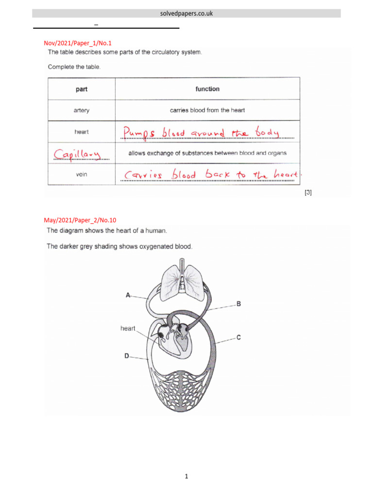 2022 17 Circulatory System Checkpoint Sec 1 Biology Solved | PDF