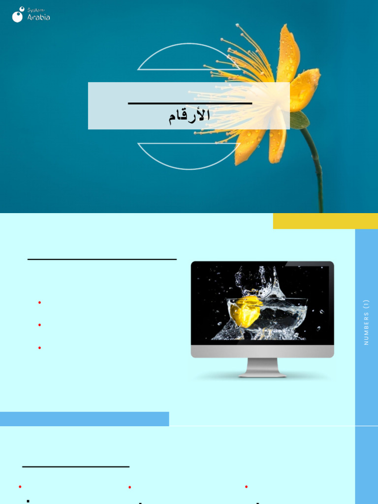 008 - Numbers 1 - Start of Level 2 | PDF | Linguistic Morphology ...