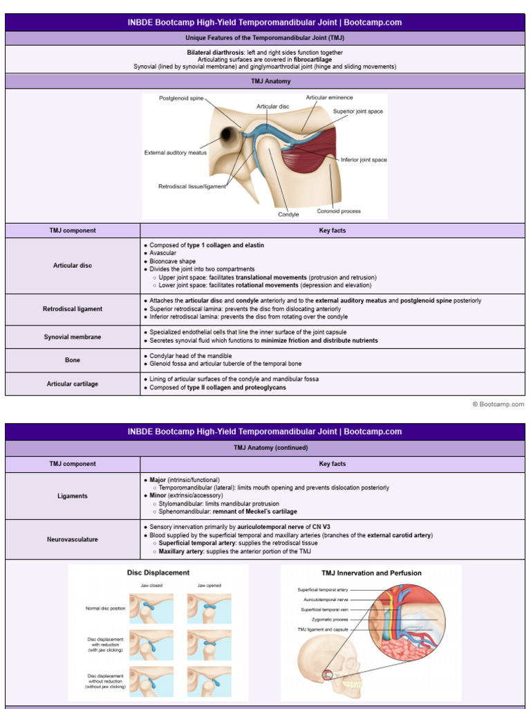 INBDE Temporomandibular Joint | PDF | Human Head And Neck | Human Anatomy