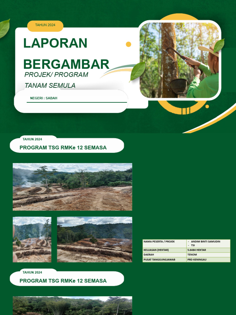 1) Format - TSG Rmk12 Semasa | PDF