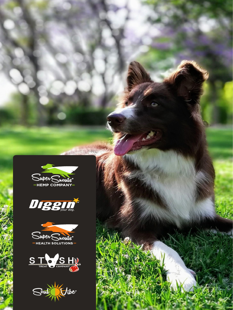 Catálogo Super Snouts - 2024 | PDF