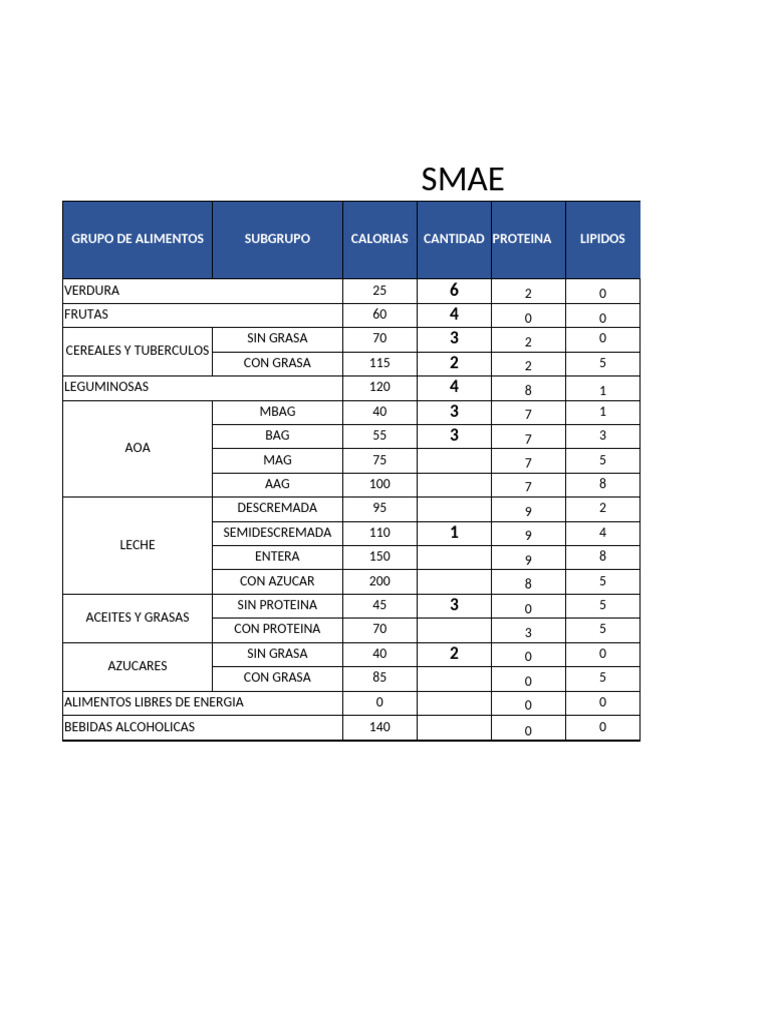 SMAE | PDF