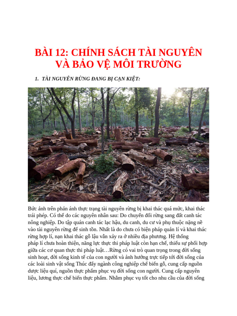 GDCD bài 12 | PDF