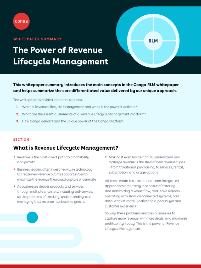 RLM Whitepaper Summary - 0924 | PDF | Customer Experience | Revenue