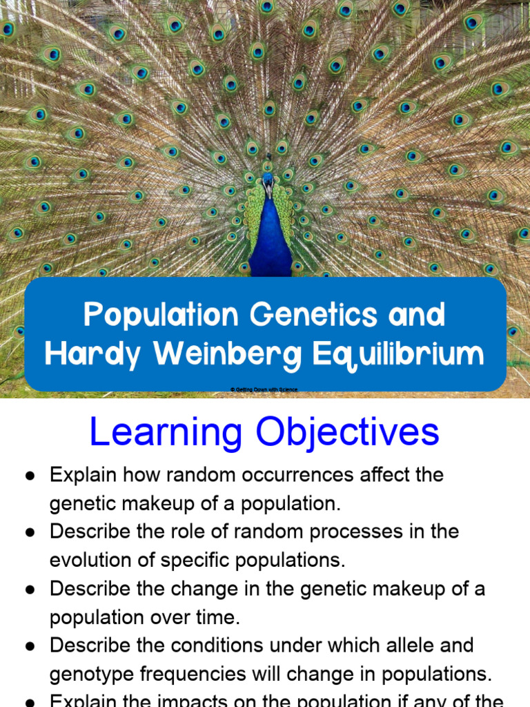 SE Unit 7 Topic 2 Notes- Population Genetics _ Hardy Weinberg ...