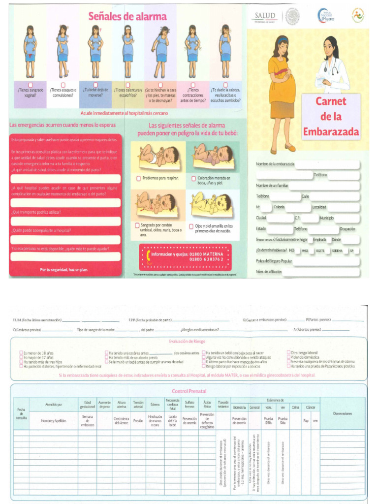 carnet de la embarazada word | PDF