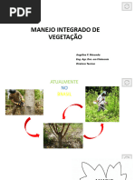 Concorde ICL Brazil | PDF | Agricultura